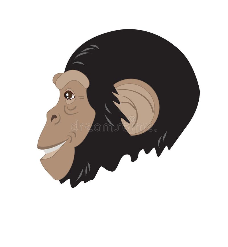 Monkey head in profile stock vector. Illustration of monkey - 58331866