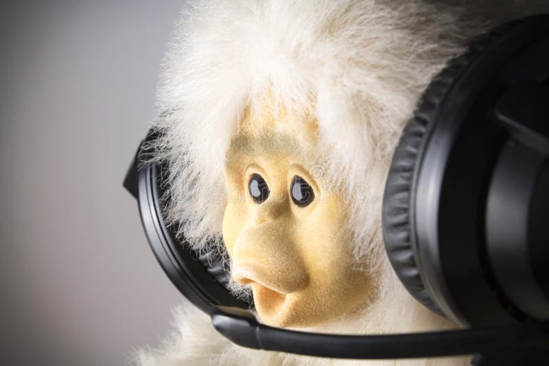 136 Monkey Headphones Stock Photos - Free & Royalty-Free Stock Photos ...