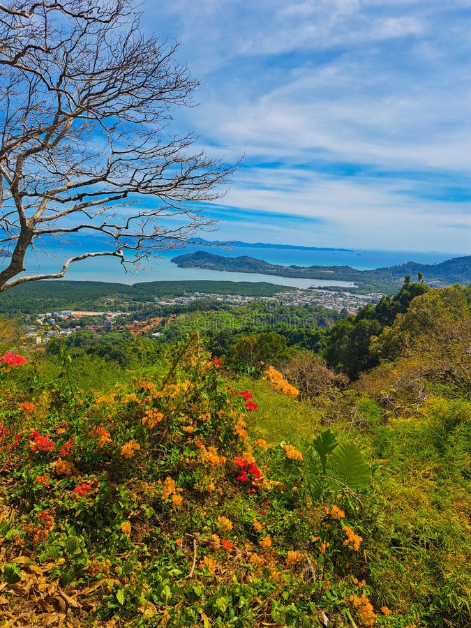 Monkey Hill Viewpoint, Phuket, Thailand Stock Photo - Image of thailand ...