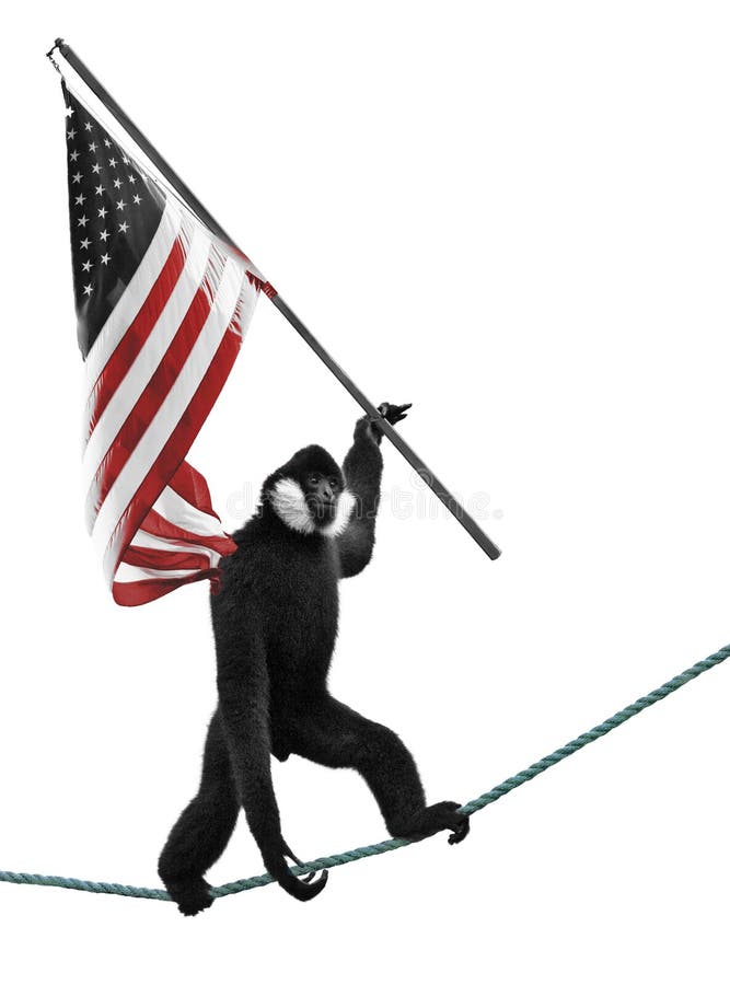 Monkey Holding Flag stock photo. Image of america, government - 23282476
