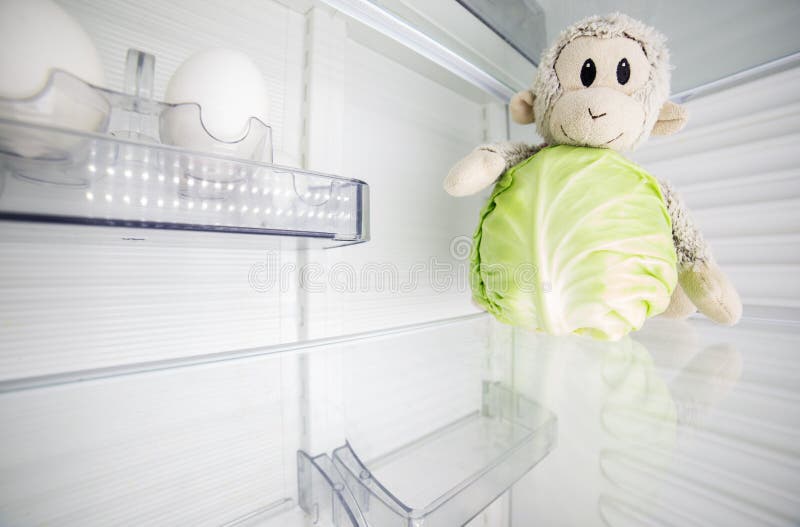 A Monkey is Holding a Green Cabage in the Fridge. Stock Photo - Image ...