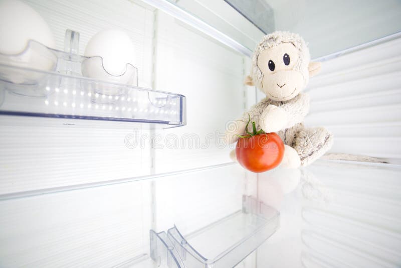 A Monkey is Holding a Red Tomato in the Fridge Stock Image - Image of ...
