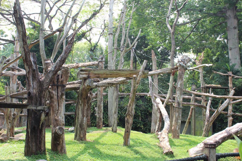 Monkey home in zoo stock image. Image of home, forest - 51622169