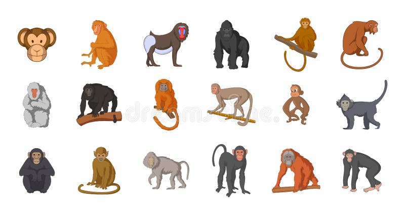 Proboscis Monkey Icon, Cartoon Style Stock Vector - Illustration of ...