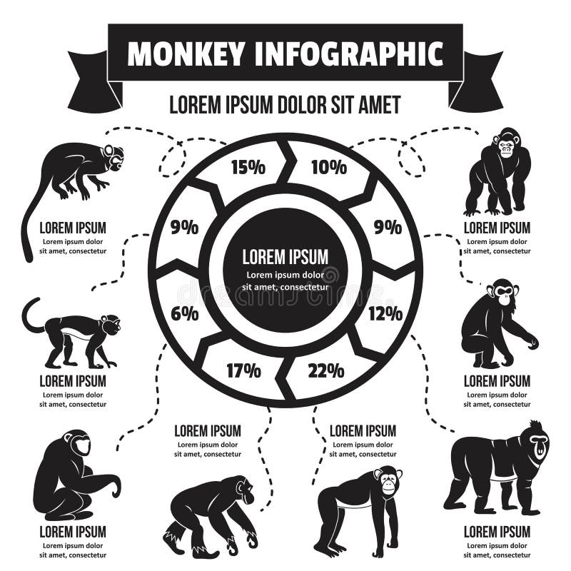 Monkey Infographic Concept, Simple Style Stock Vector - Illustration of ...