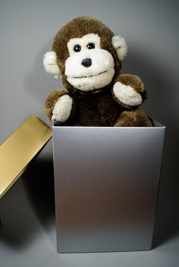 Monkey Inside A Box Picture. Image: 2684274