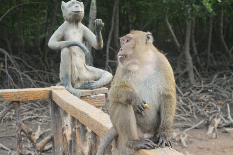 Monkey and its monument stock image. Image of nature - 55221377