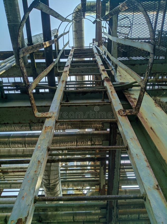 754 Monkey Ladder Stock Photos - Free & Royalty-Free Stock Photos from ...