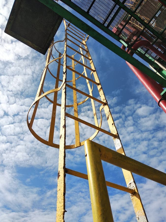 767 Monkey Ladder Stock Photos - Free & Royalty-Free Stock Photos from ...