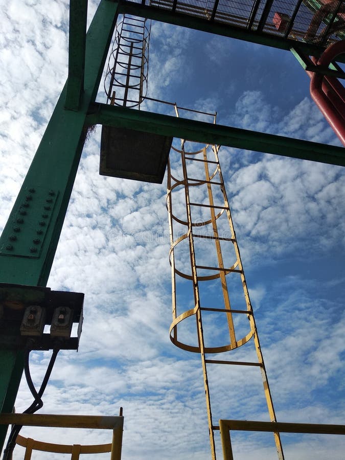 764 Monkey Ladder Stock Photos - Free & Royalty-Free Stock Photos from ...