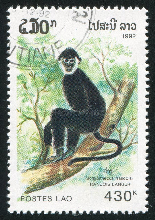 Monkey editorial stock photo. Image of long, laos, 1992 - 228972638