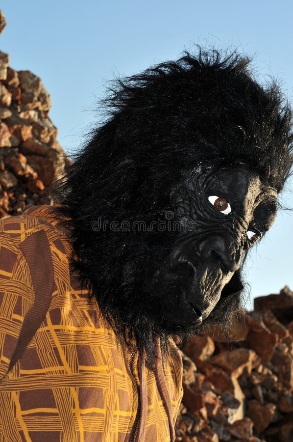Monkey man stock photo. Image of bizarre, animal, suit - 9057662