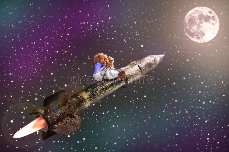 Macaco Mascote Num Foguete a Voar Para a Lua Foto de Stock - Imagem de ...