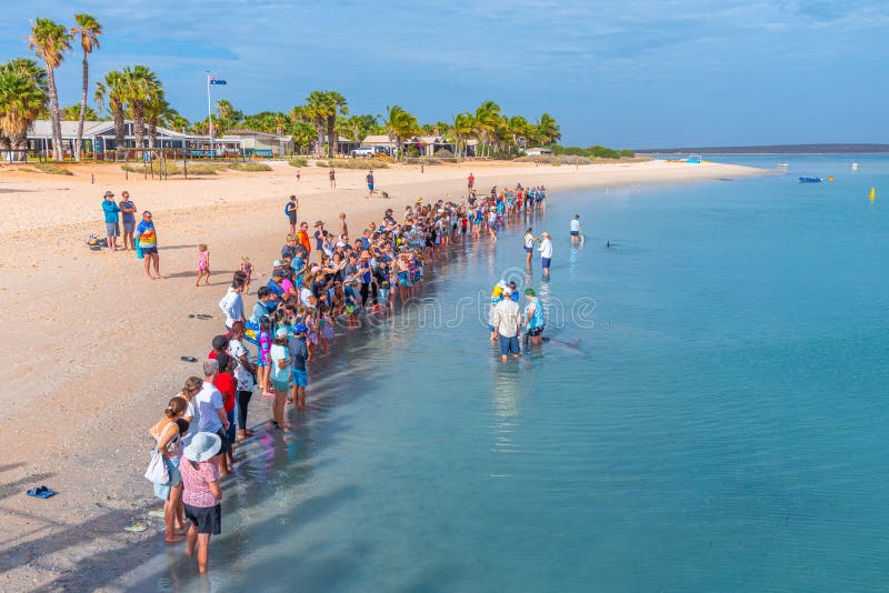 MONKEY MIA, AUSTRALIA, JANUARY 12, 2020: Beach at Monkey Mia Resort in ...
