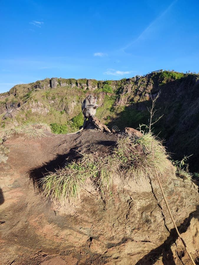 Monkey Mountain Mount Batur Bali Nature Stock Photo - Image of ridge ...