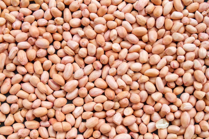 Nut Pellets Stock Photos - Free & Royalty-Free Stock Photos from Dreamstime