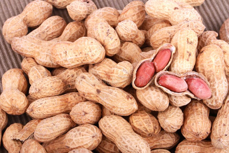 Groundnuts on a White Background Stock Photo - Image of groundnut ...