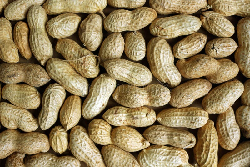 Monkey Nuts stock image. Image of nutrition, closeup - 139673231