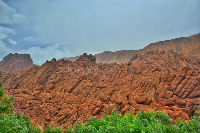 106 Monkey's Palm Stock Photos - Free & Royalty-Free Stock Photos from ...