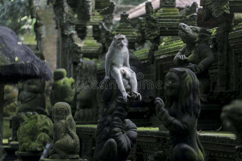 A Monkey Posing on a Statue in Monkey Forest Bali Stock Image - Image ...