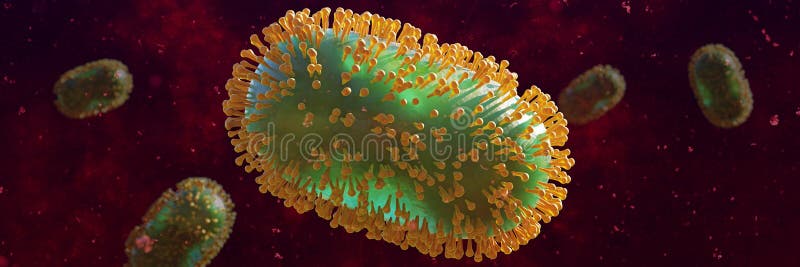 Monkeypox Viruses, Infectious Double-stranded DNA Zoonotic Virus Stock ...