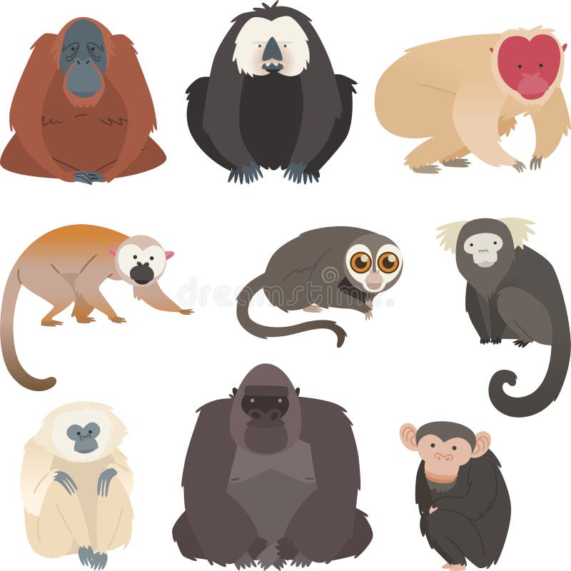 Monkey and Primate Collection Stock Illustration - Illustration of ...
