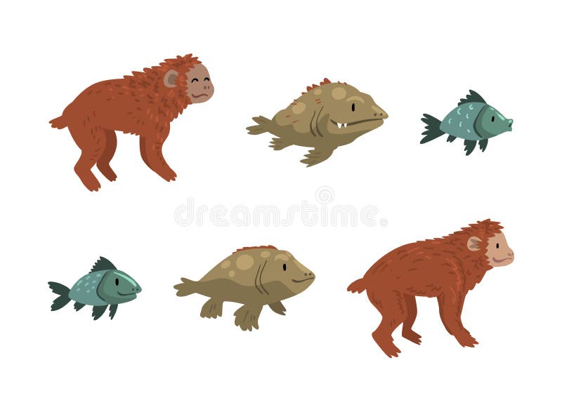 Monkey or Primate and Fish As Human Evolution Stage and Gradual ...