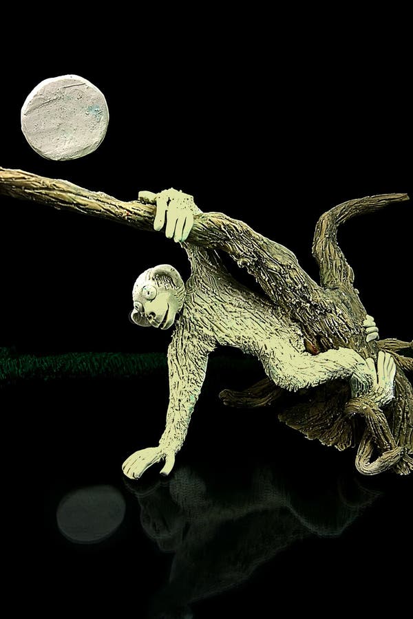 Monkey reaches for Moon stock photo. Image of moon, mistake - 10081242