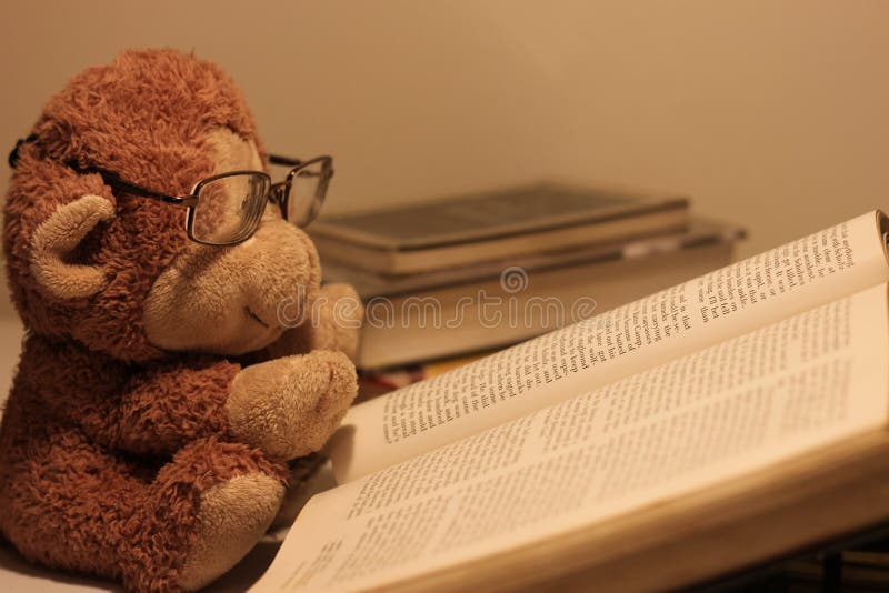 Cute Monkey reading book stock photo. Image of animal - 59579650