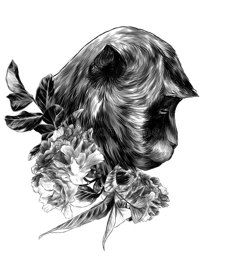 Sad Monkey Stock Illustrations – 1,437 Sad Monkey Stock Illustrations ...