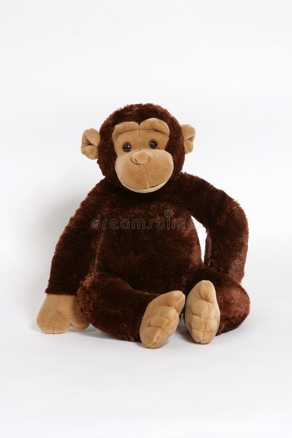 Monkey see, Monkey do stock photo. Image of birthday, present - 364828
