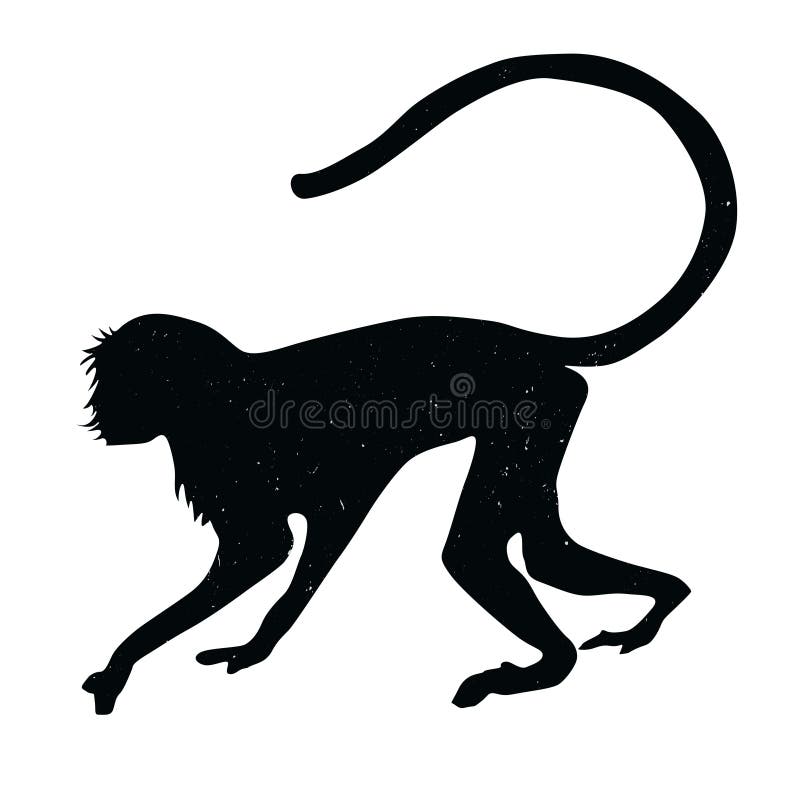 Bird Shadow Animal Icon Silhouettes Isolated on Dark Black Graphical in ...