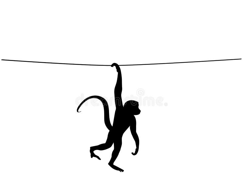 Hanging Monkey Silhouette Stock Illustrations – 331 Hanging Monkey Silhouette Stock ...