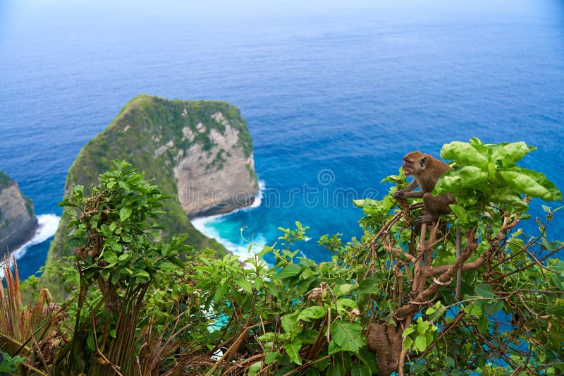 336 Wallpaper Nusa Penida Stock Photos - Free & Royalty-Free Stock ...