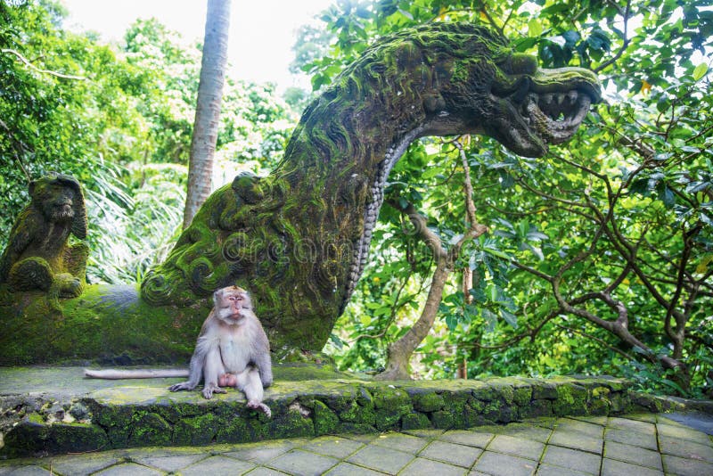 Monkey Sitting Near the Dragon and Monkey Statue Stock Image - Image of ...