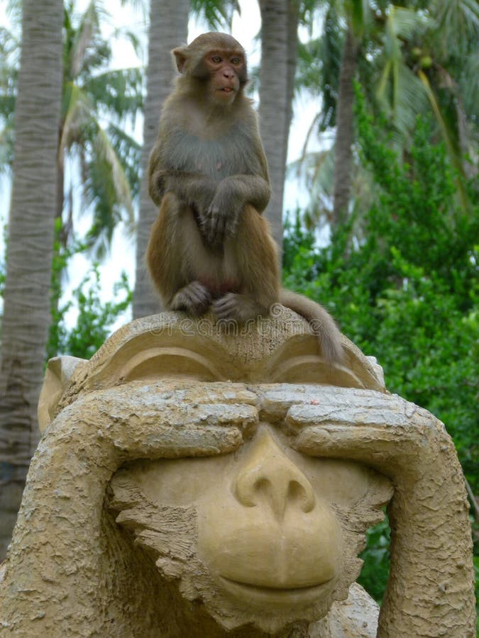 See nothing but pry stock image. Image of statue, nature - 138976607