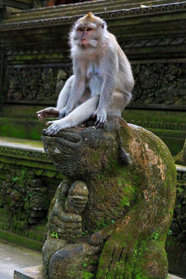 Monkey Sitting on Top of a Statue in Monkey Forest at Ubud Stock Image ...