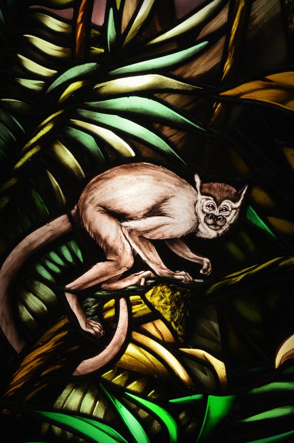 Monkey Stained Glass stock image. Image of evolution - 53558757