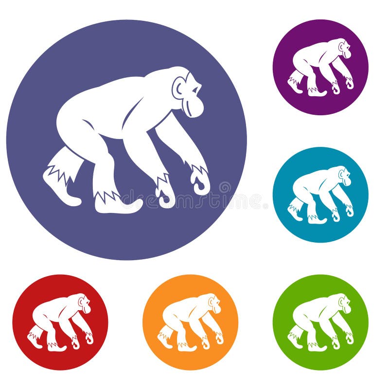 Monkey standing icons set stock vector. Illustration of monkey - 96648411
