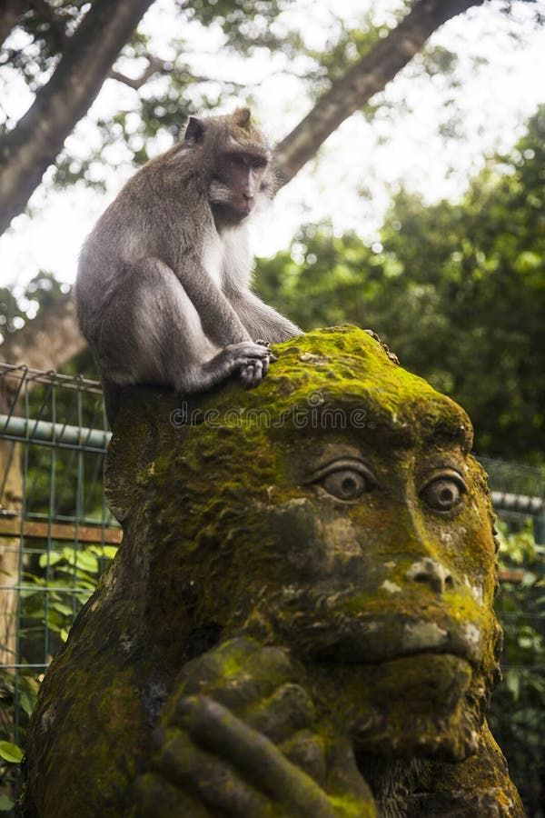 Monkey on the Statue at Ubud Monkey Forest Sanctuary at Bali, Indonesia ...
