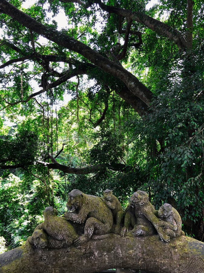 Monkey Statues in Lush Jungle Setting Stock Photo - Image of peaceful ...