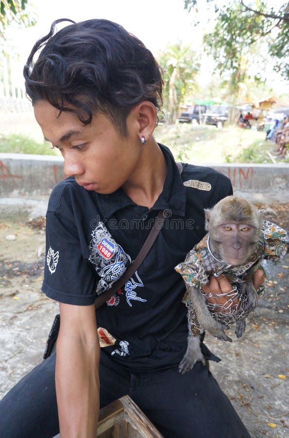 Monkey editorial photography. Image of teenager, open - 62784697