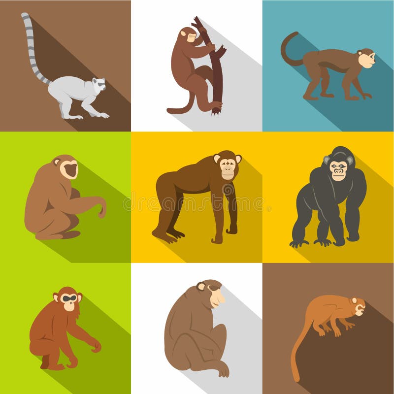 Monkey Types Icons Set in Flat Style Stock Vector - Illustration of ...