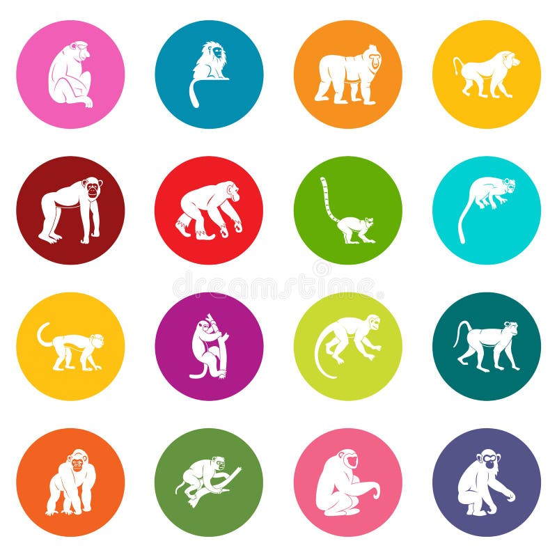 Monkey Types Icons Many Colors Set Stock Vector - Illustration of ...