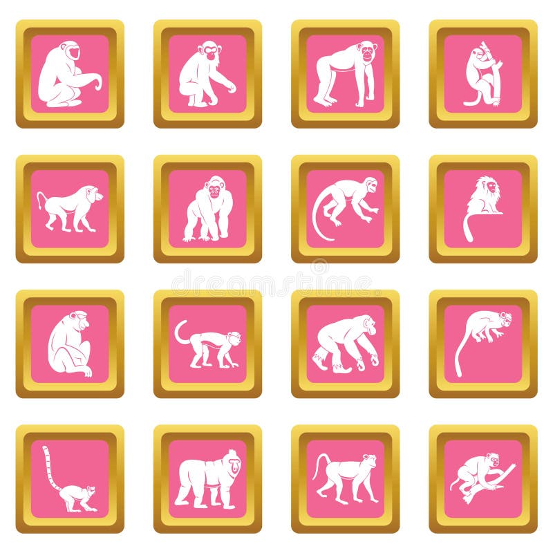 Monkey types icons pink stock vector. Illustration of nature - 99339141