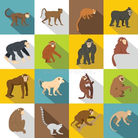 Monkey Types Icons Set, Flat Style Stock Vector - Illustration of flat ...