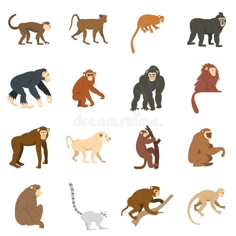 Monkey Types Icons Set in Flat Style Stock Vector - Illustration of ...