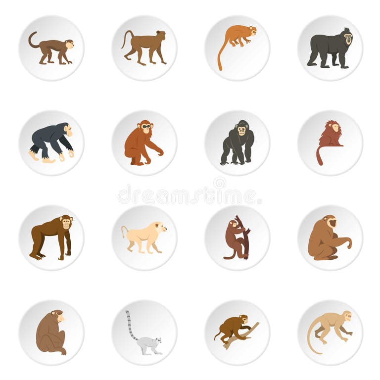 Monkey Types Icons Set in Flat Style Stock Vector - Illustration of ...