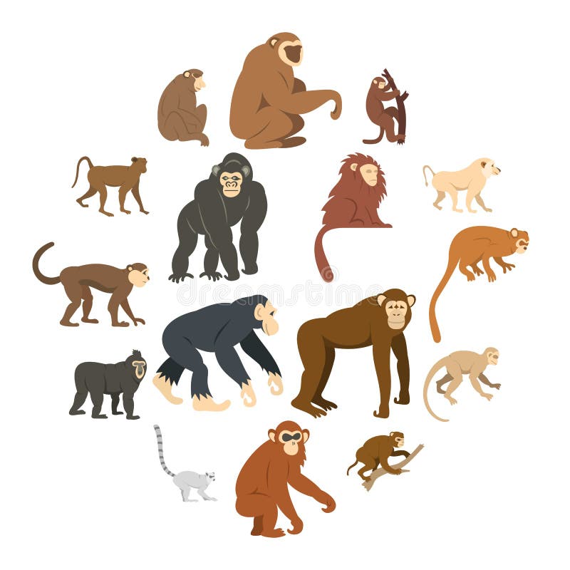 Monkey Types Icons Set in Flat Style Stock Vector - Illustration of ...
