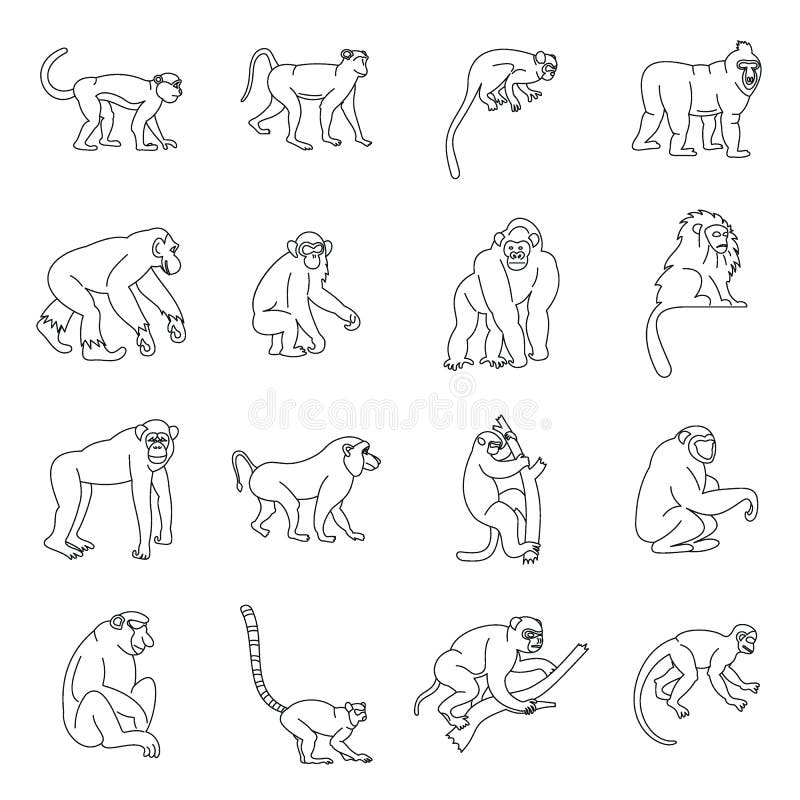 Monkey Types Icons Set, Outline Style Stock Vector - Illustration of ...